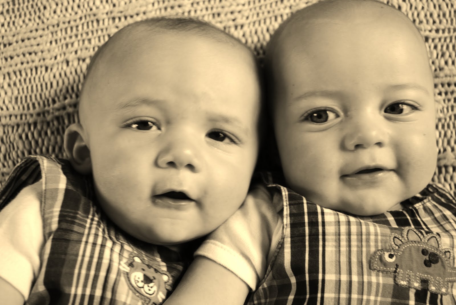 My Project Mommyhood: This is why everyone should have twins.