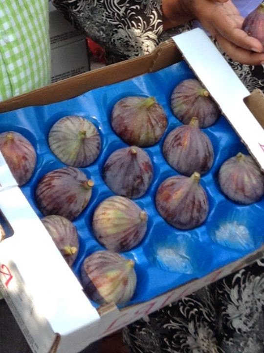 Figs Photo Collection Around the World: Figs : Black Bursa Part 2