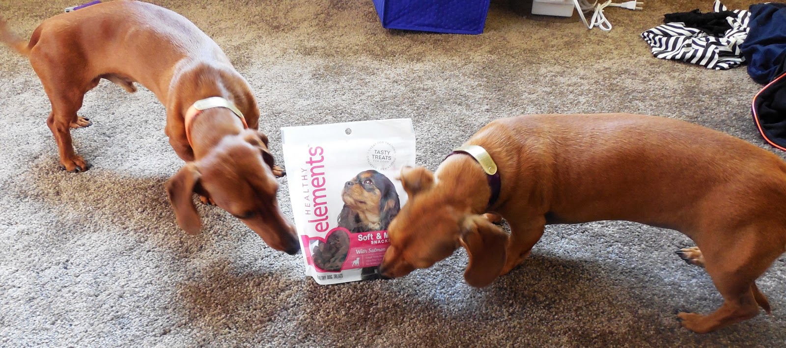 Healthy Elements Dog Treats Review and Giveaway | The Nutritionist Reviews