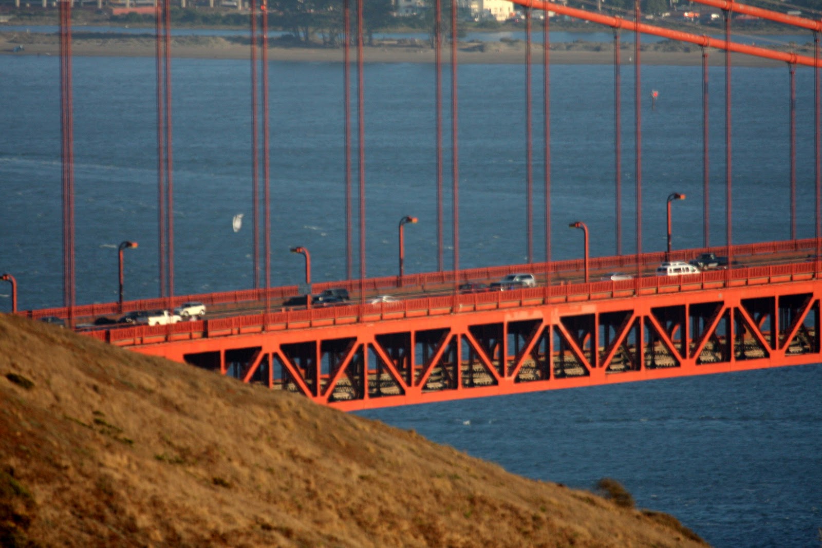 Miami Blue Butterfly: San Francisco's Golden Gate Bridge: A Study of Angles