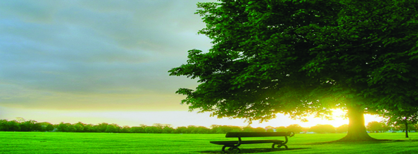 Nature Facebook cover: Natural Facebook cover image