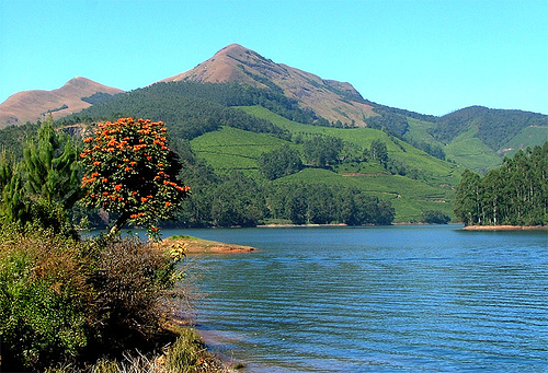 Munnar Sightseeing | Munnar Hill Station