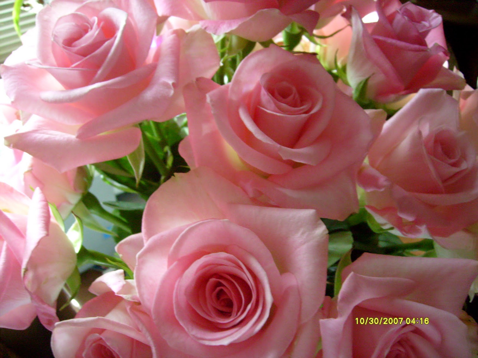 Fairy Cottage and Garden..... Re- Enchanted Life of a Domestic Mystic ...