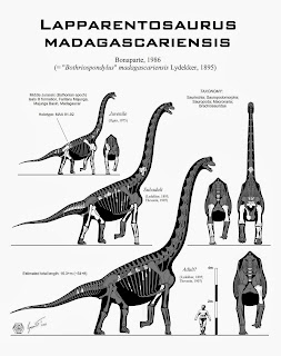 Palaeos, la historia de la Vida en la Tierra: noviembre 2013