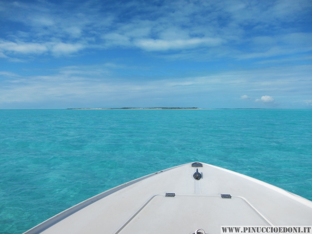 Isole BAHAMAS in libertà: Sandy Cay e ritorno a Exuma