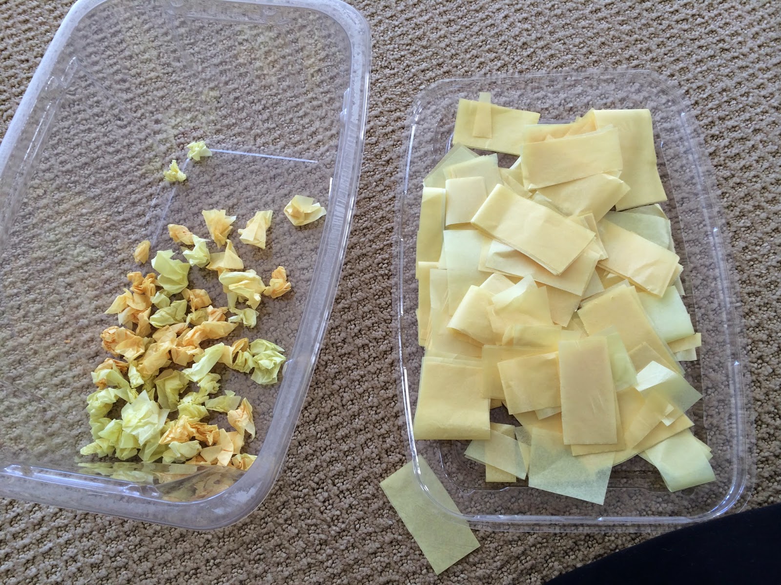 MOM.b.a. - Master's of my Baby Abilities: Toddler Project: Spring ...