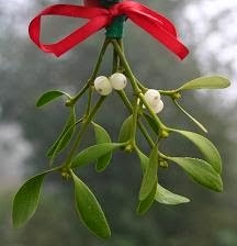 A Silk Flower Depot Blog: Hanging mistletoe over rhe doorway