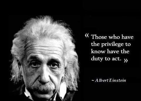 Albert Einstein Brain Quotes
