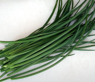 Flor D'Açafrão: Cebolinho: um condimento de delicado sabor!