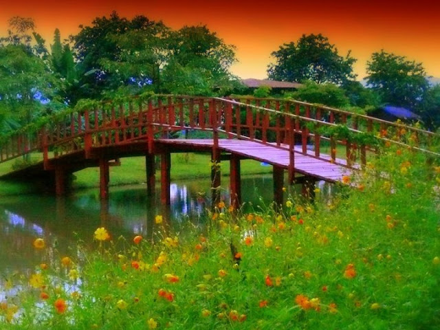 Beautifull Natural Color Wallpapers