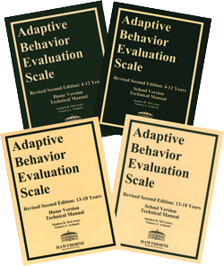 Recess and Lunch: Assessment of Adaptive Functioning/Behavior