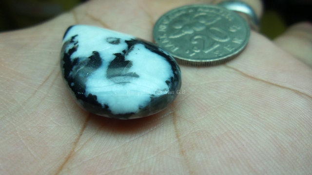 BLOG UTAMA Y.M PADUKA AYAHANDA PAY 8: SI TOMPOK