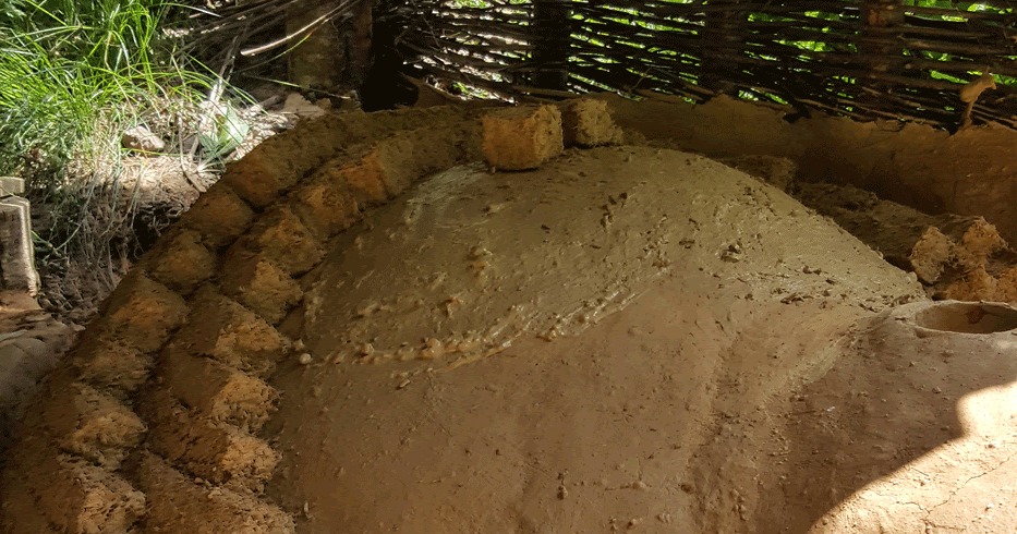 Rais Wood: Found the perfect hangover cure at last!