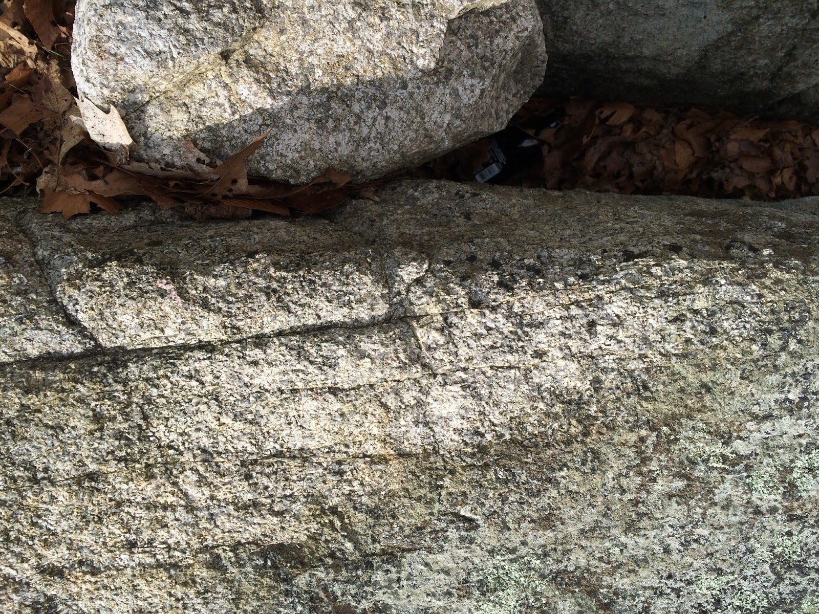 The Geology of Disc Golf: Borderlands State Park, Sharon MA