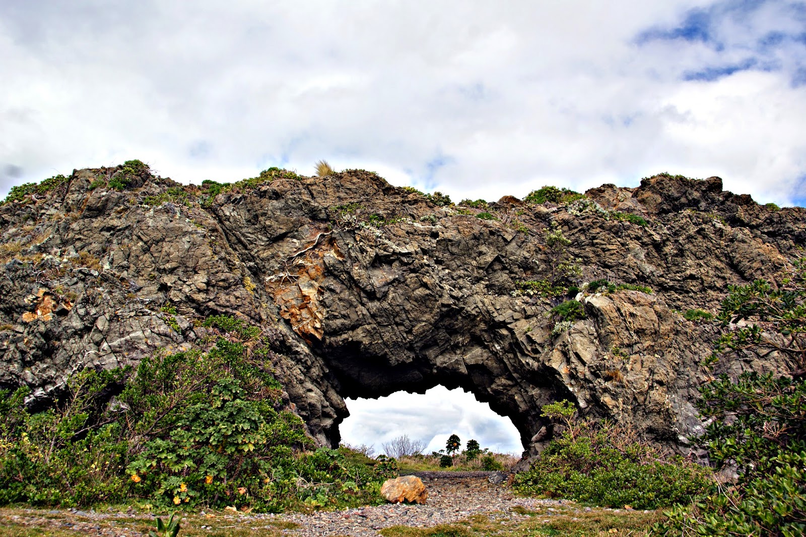 Slightly Intrepid: Moa Point