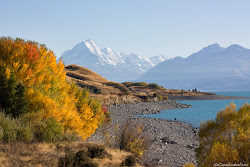 EL MONTE COOK : Curiosidades