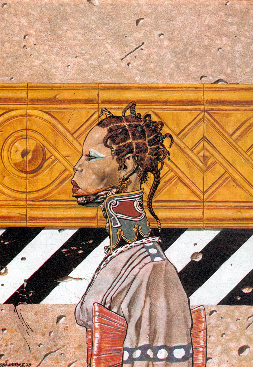 2-Dimensional Domain: Tanino Liberatore illustrations