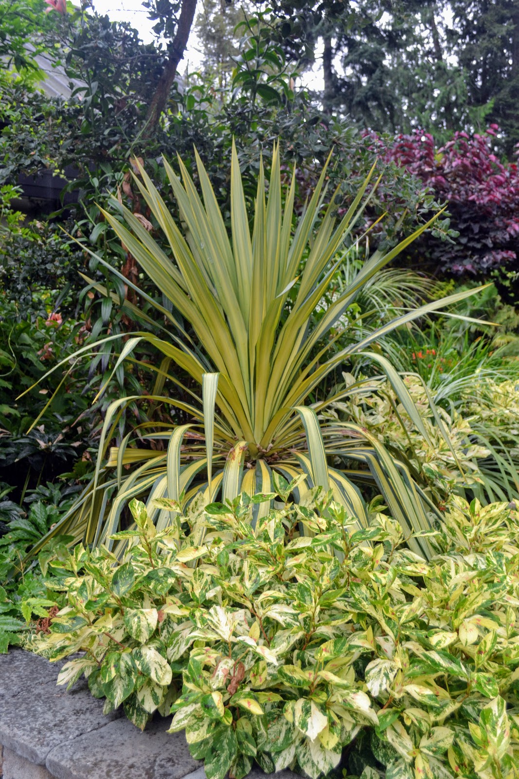 The Outlaw Gardener: Revisiting The Brindley Garden