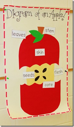 Children's Learning Activities: Apple Unit Ideas