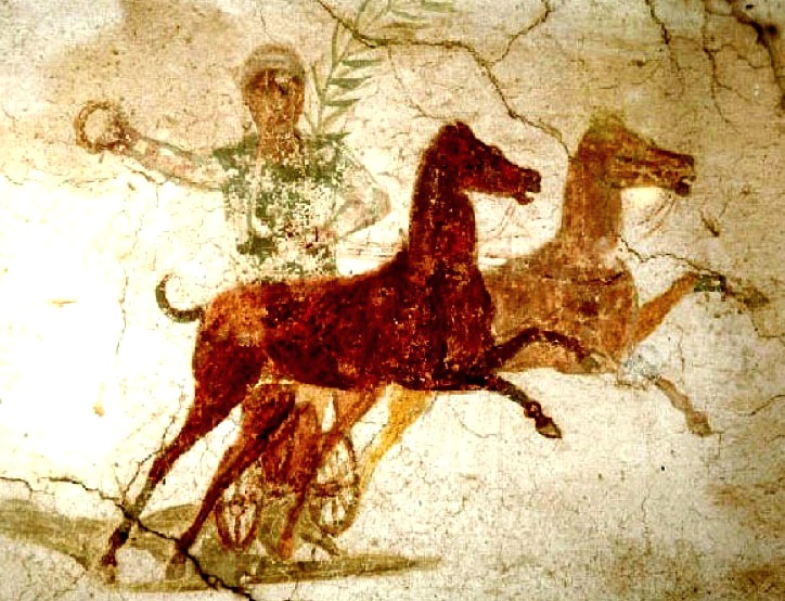 History Mysteries of Caroline Lawrence: Fun Chariot Facts