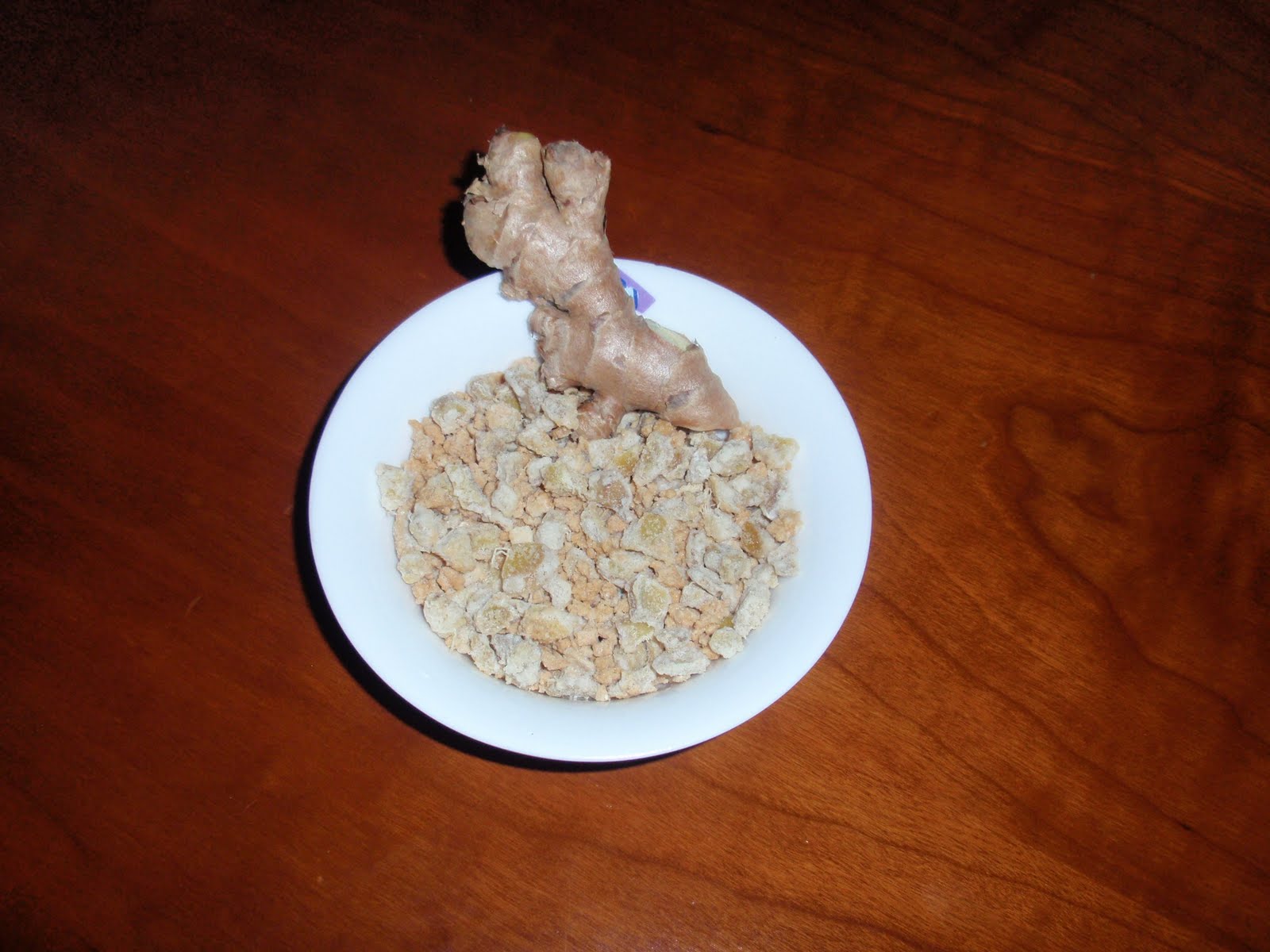 F u x i c a n d o F u x i c o: Paracuca de gengibre