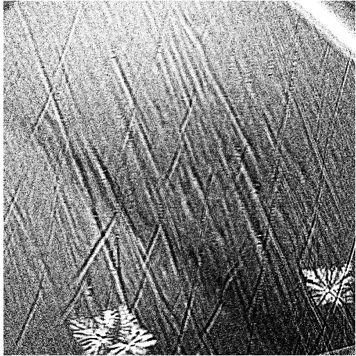 Metallurgy & Material Sciences : Columnar & Dendritic Growth of Nuclei