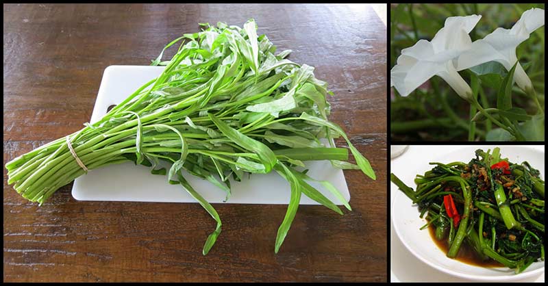 Kangkong (Water Spinach): A Green Leafy Veggie With Anti-Alzheimer’s ...