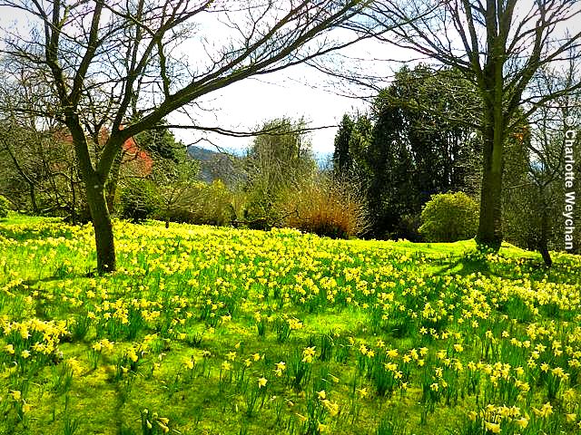 Official start of Spring today!