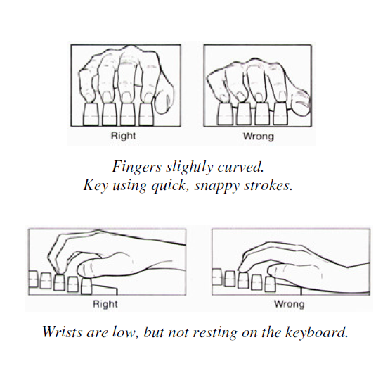 Mrs. Amy Page's Blog: Proper Keyboarding Techniques