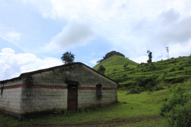 Travel notes: Kaas Plateau - Surreal