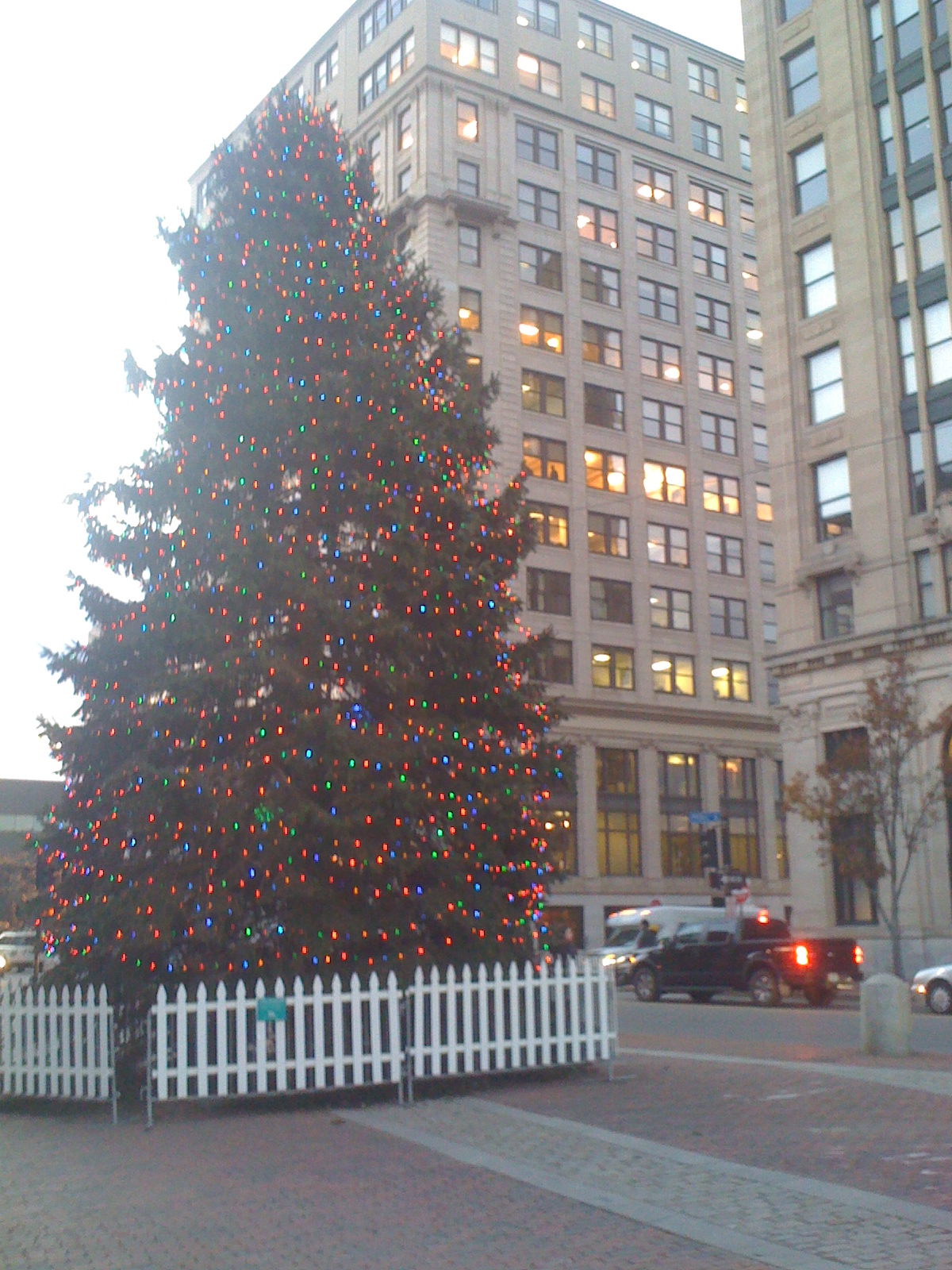 The Sarc Family Blog: Monument Square Christmas Tree