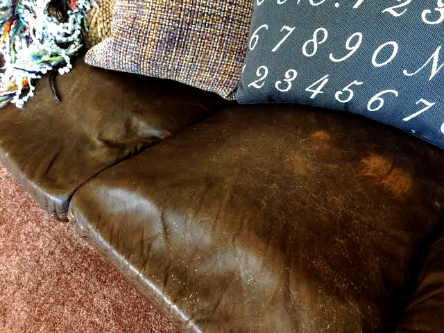 jacki long: Day 2123: The story of the lumpy couch.