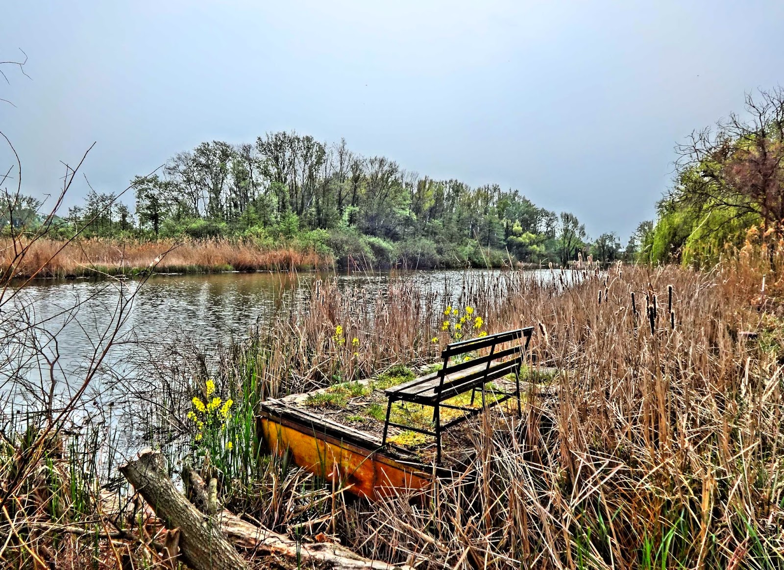 Dunai Szigetek: Sziget osztott tulajdonban