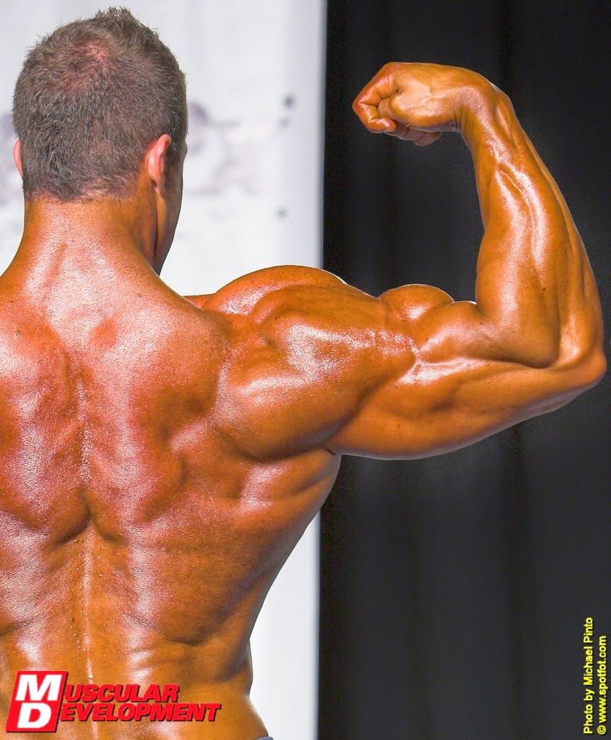 Muscle Lover: Huge American bodybuilder Anthony Tenuta