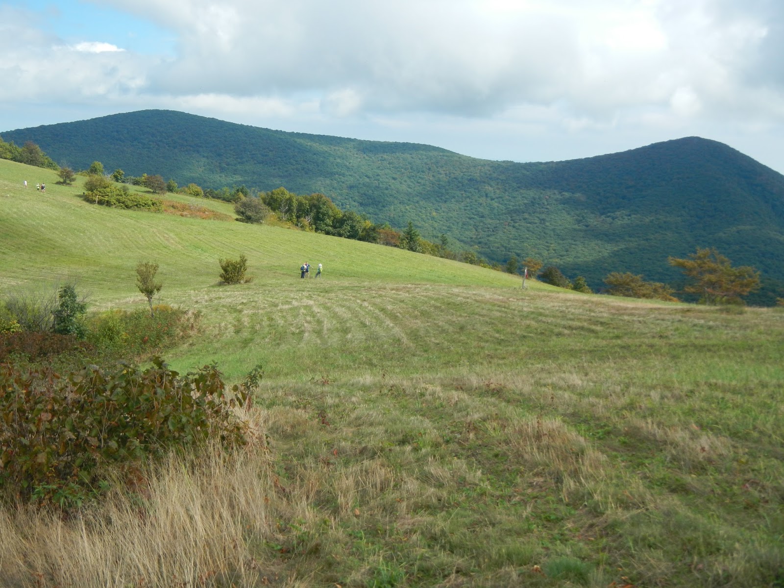 Oh To Be Hiking!: Cold Mountain (Virginia)