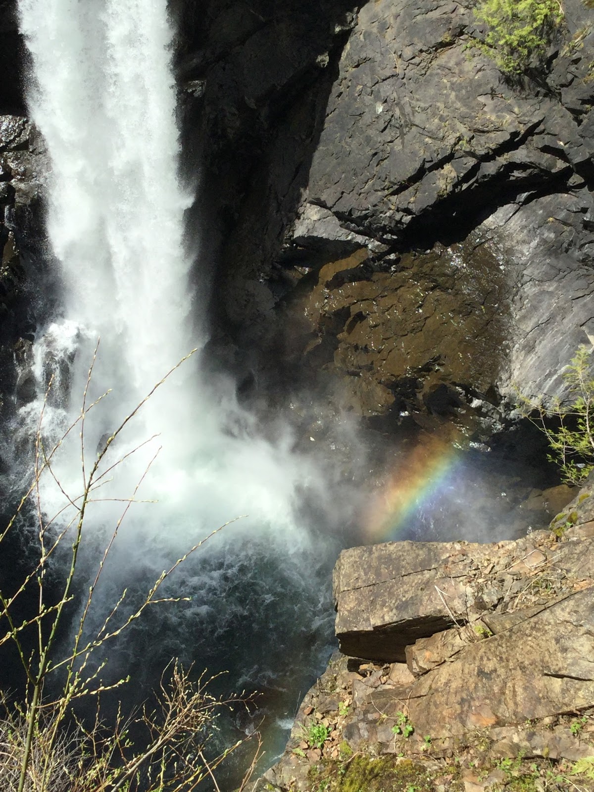 BC Oceanfront: Elk Falls, Vancouver Island