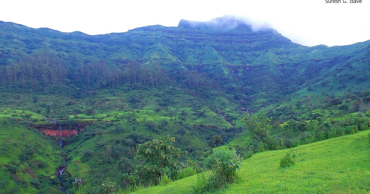 My Treks n Tours: Torna Fort ( Prachandgad) Trek