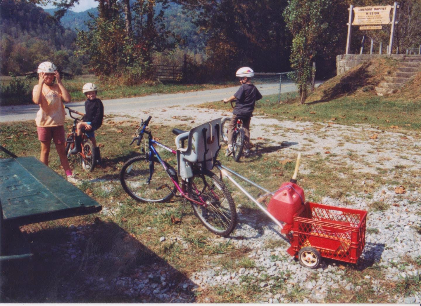 The Linefork Years: Introduction