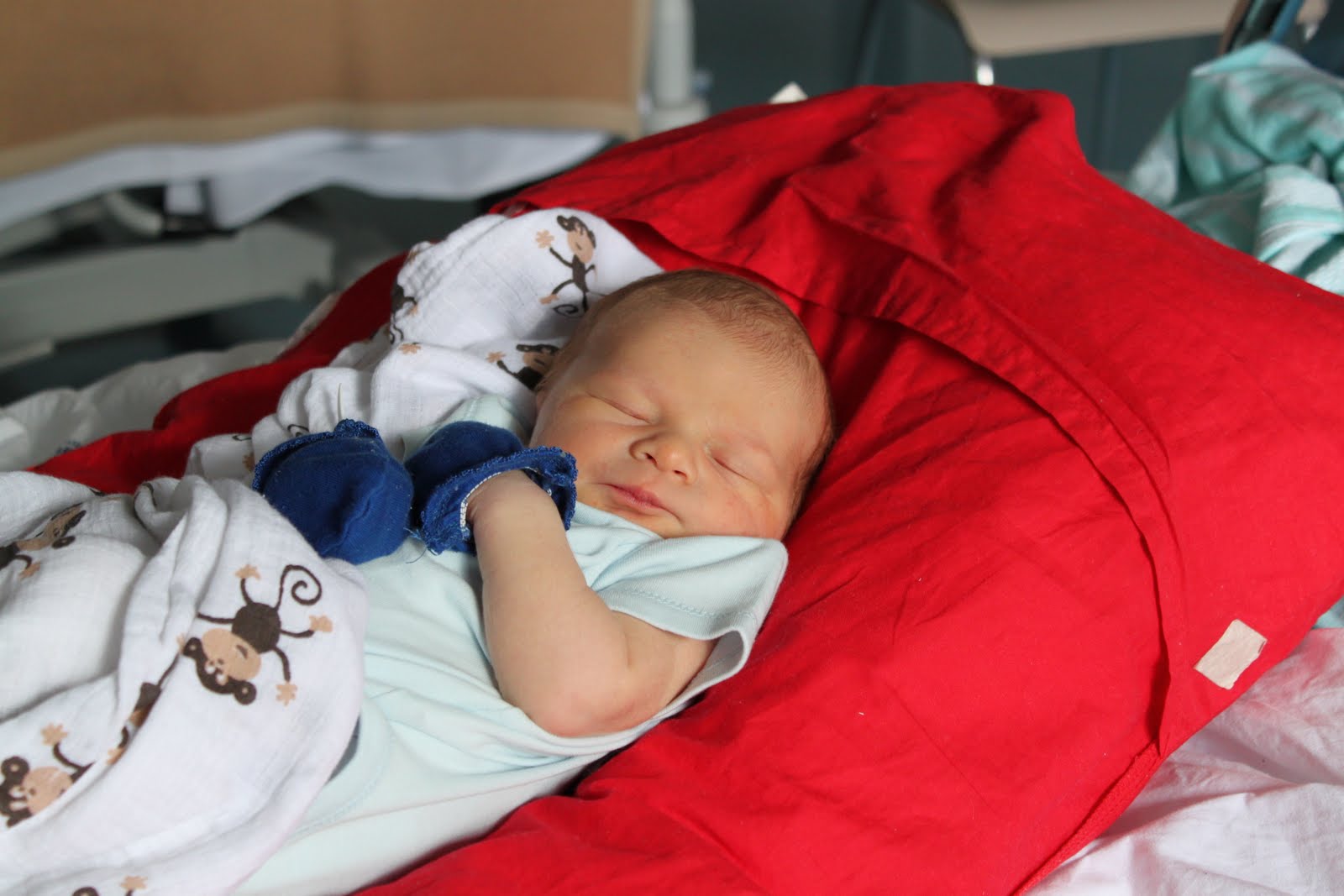La Pura Vida : Asher Michael Toolson