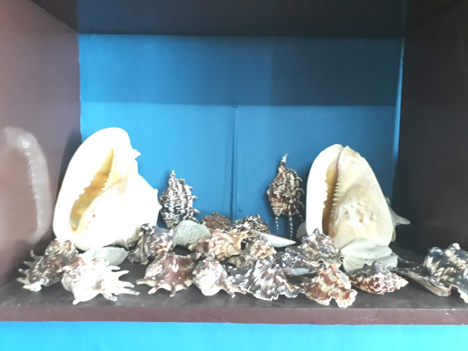 Scribbles by Raisie: Destination Diary: Cagayan de Oro