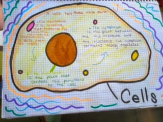 Made in England: Science Notebooks