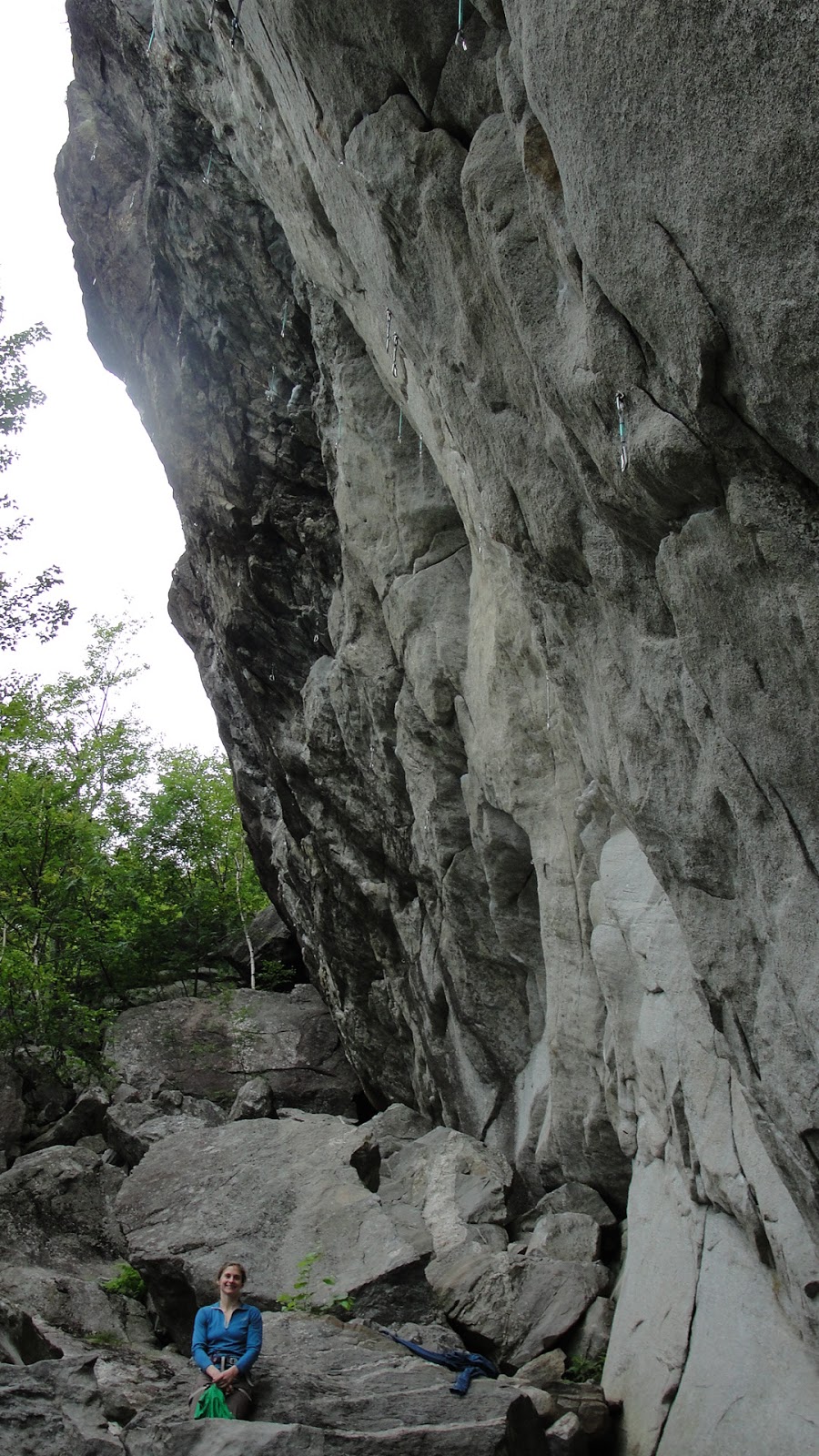 TAYLOR ROY: Maine