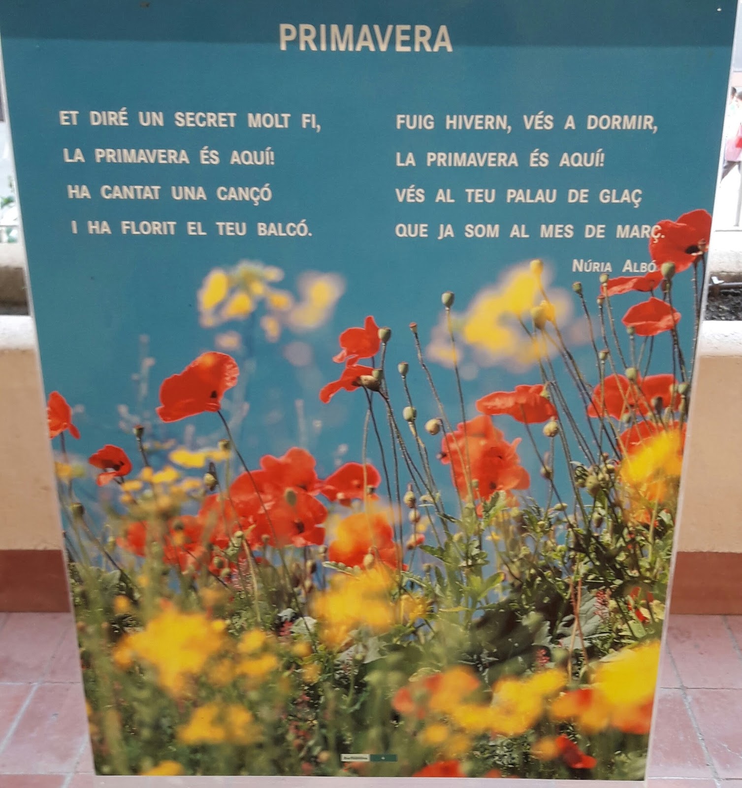 P3 - P4 - P5 ESCOLA LAVÍNIA: P3 - P4 - P5 TALLERS DE PRIMAVERA