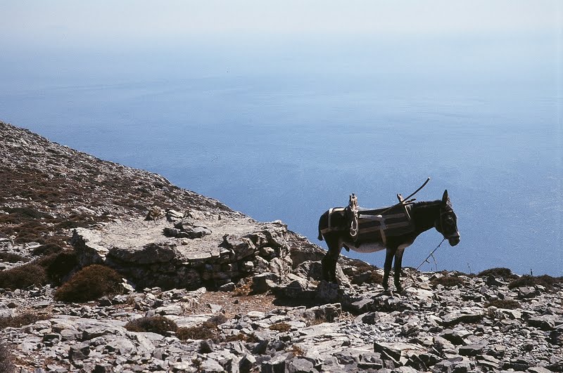 actimon: ΨΗΛΑ ΣΤΟ ΣΤΑΥΡΟ, ΚΟΝΤΑ ΣΤΟ ΘΕΟ...