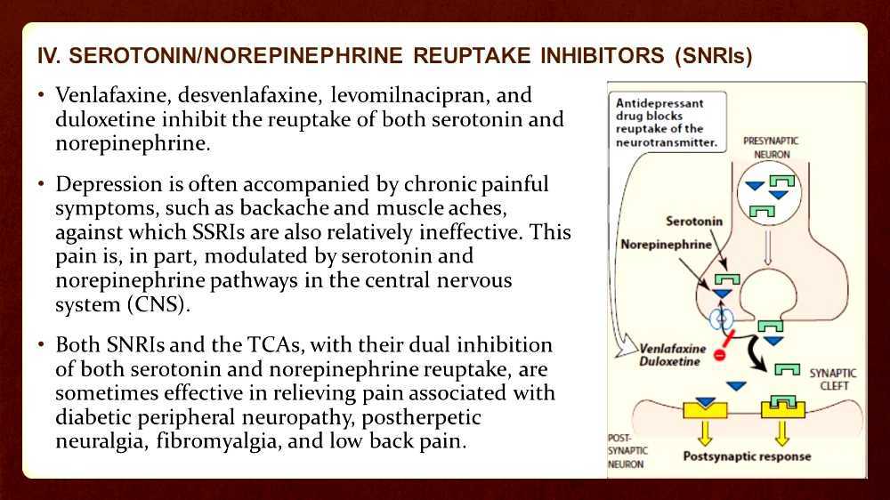 Serotonin-norepinephrine reuptake inhibitor