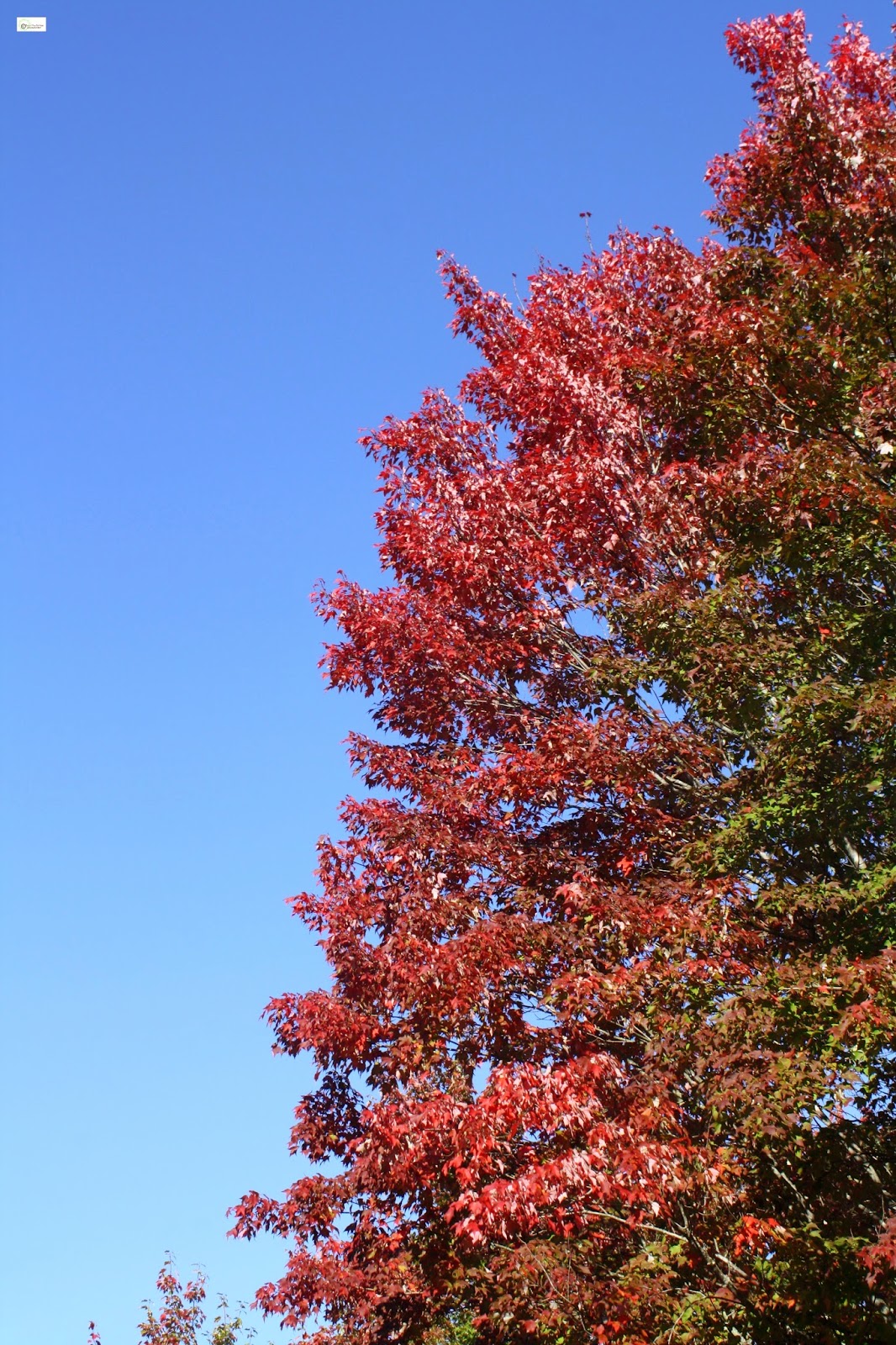 Fall Bucket List for Lake Champlain Region // New York and Vermont ...