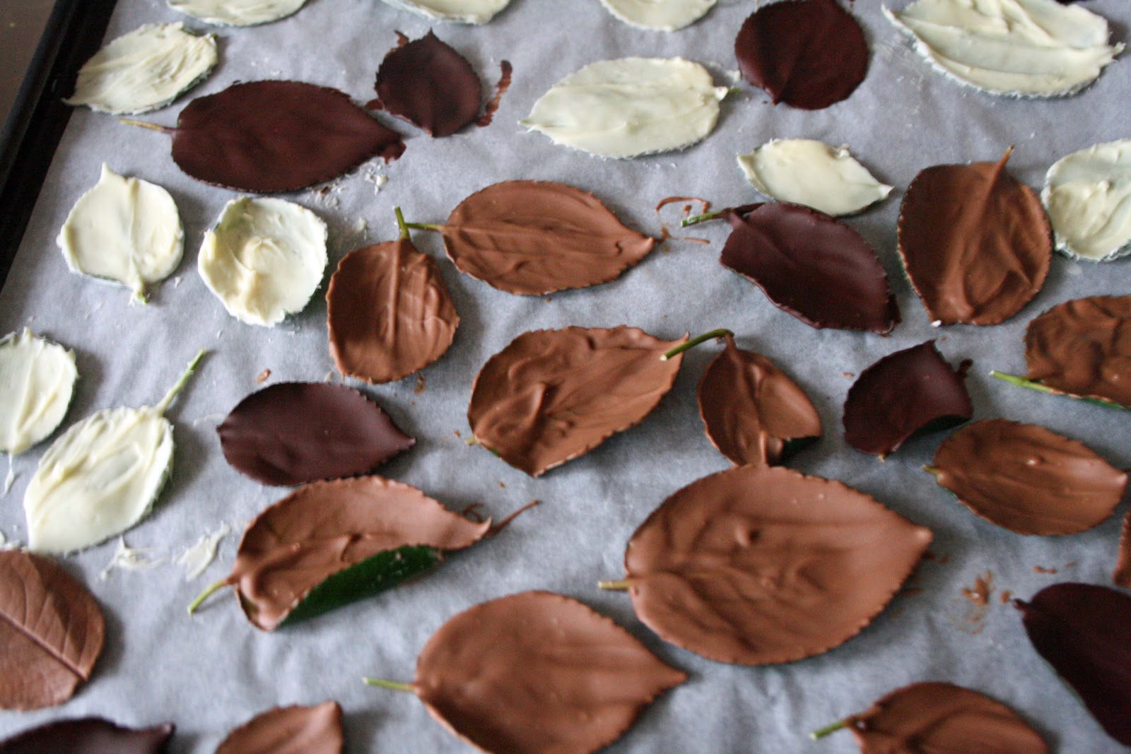 lauralovescakes...: How to Make Chocolate Leaves...