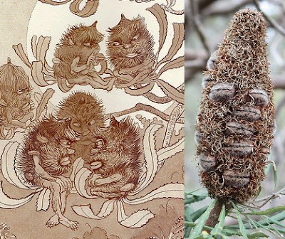 JSBlog - Journal of a Southern Bookreader: The gumnut babies