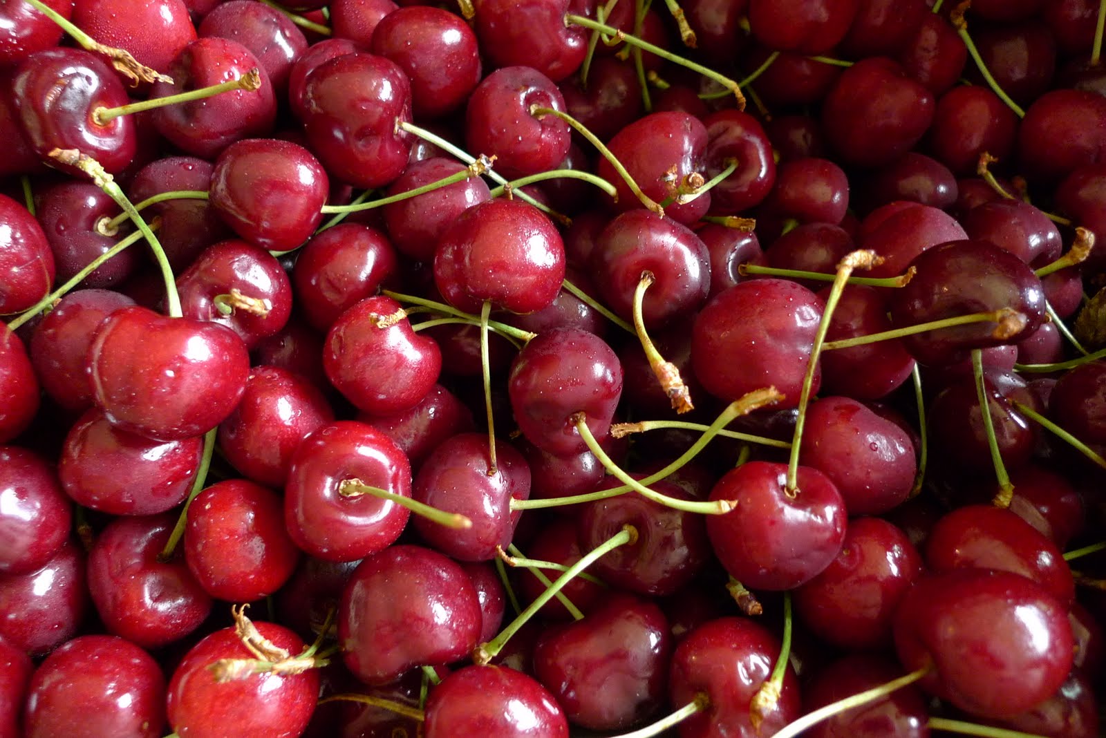 Preserving Cherries - Backwoods Mama
