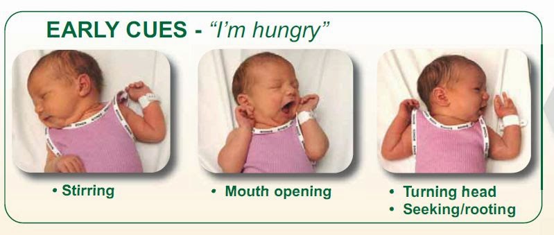 Charley's Mommy : Baby Feeding Cues